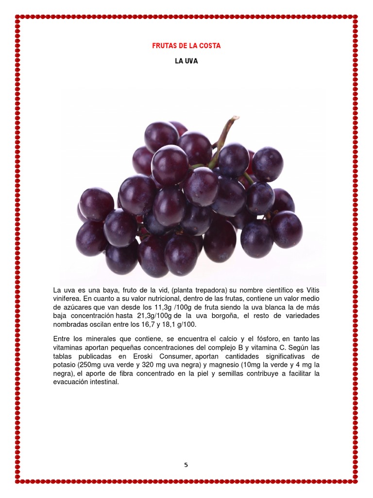 Frutas de La Costa | PDF | Alimentos | Vitamina C