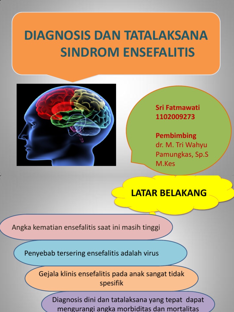 ENSEFALITIS | PDF