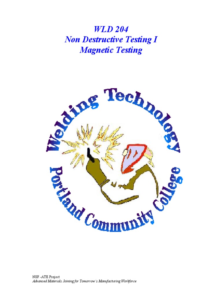 MPI Procedure | PDF | Magnet | Magnetic Field