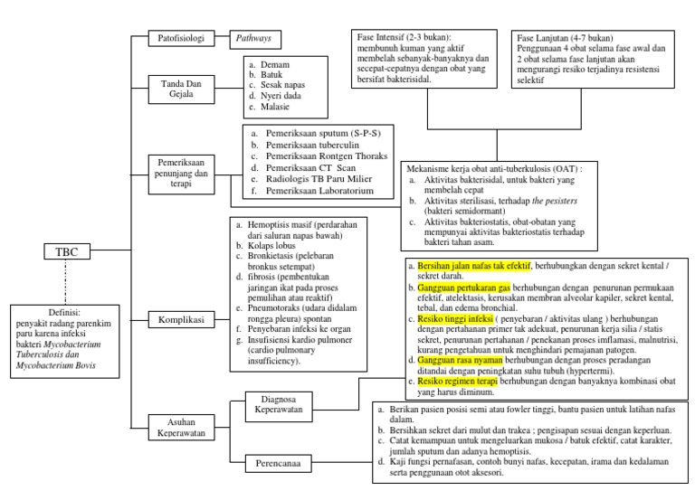 Konsep Map TBC | PDF