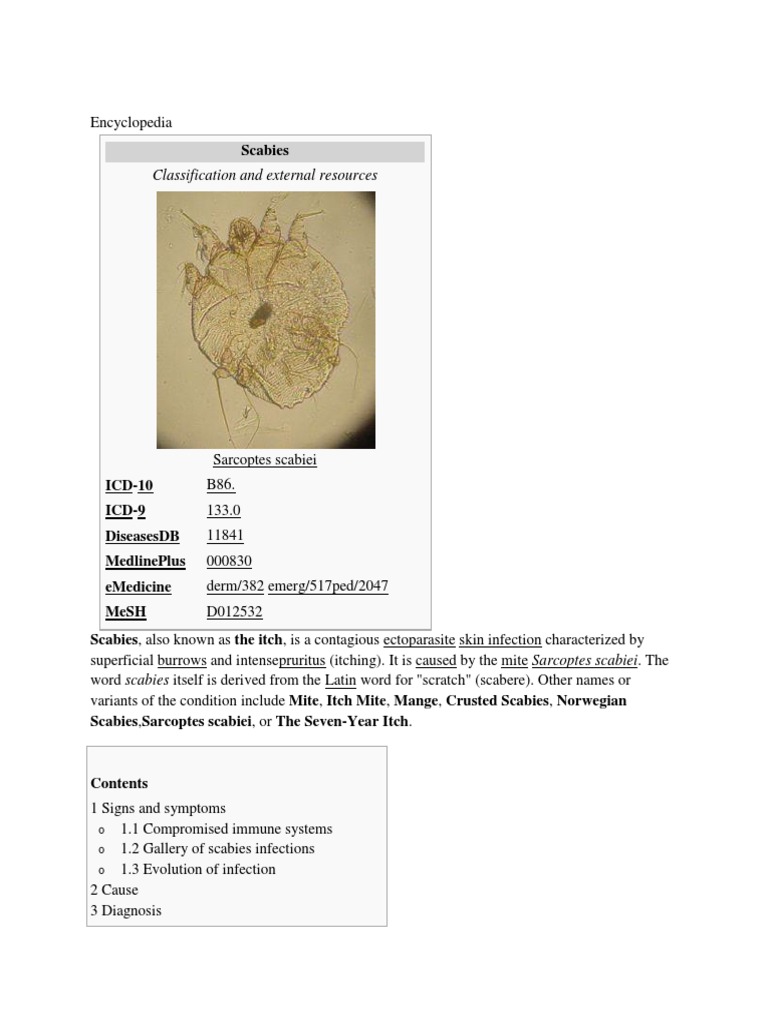 Classification and External Resources: Scabies | PDF | Clinical ...