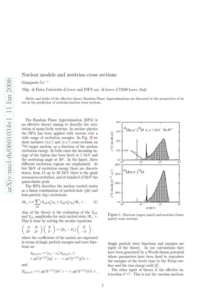 Nuclear Models and Neutrino Cross Sections | PDF | Neutrino | Cross Section (Physics)