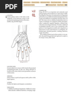 Triple Warmer Meridian Acu-Points Guide | PDF | Headache | Symptoms And ...