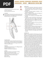 Byol Maridian Chart | PDF | Energy Therapies | Energy (Esotericism)