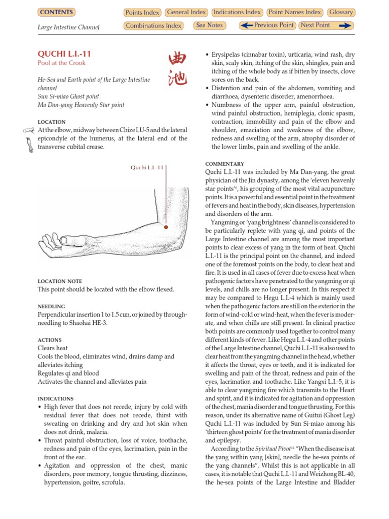 QUCHI L.I.-11: Pool at The Crook | PDF | Traditional Chinese Medicine ...