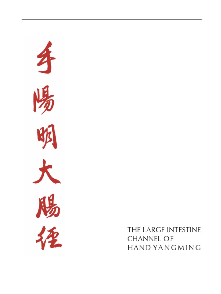The Large Intestine Channel of Hand Yangming | PDF | Arm | Anatomical ...