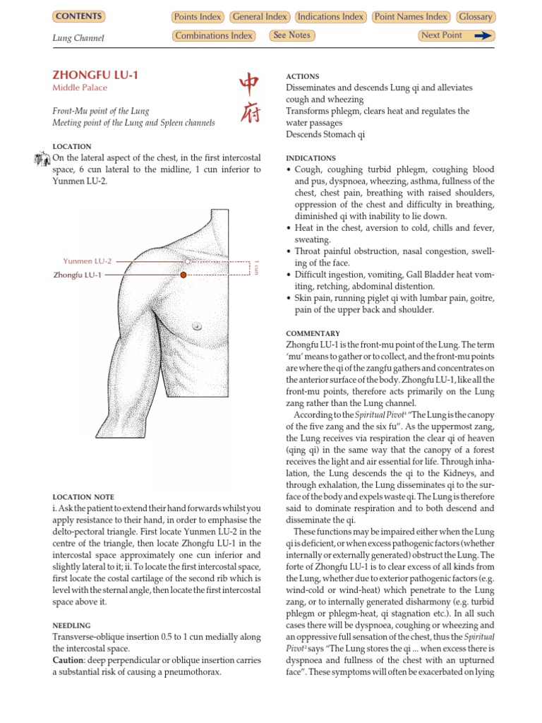Lu 1 | PDF | Thorax | Lung