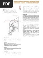 Trojan Power Gym 1.0 User Manual | PDF | Strength Training | Heart Rate