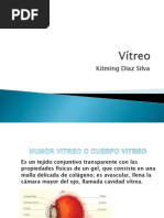 Anatomía Del Vítreo | PDF