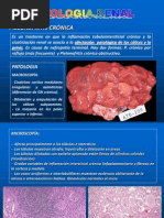 GPC CELULITIS - P | PDF | Staphylococcus Aureus | Especialidades Medicas