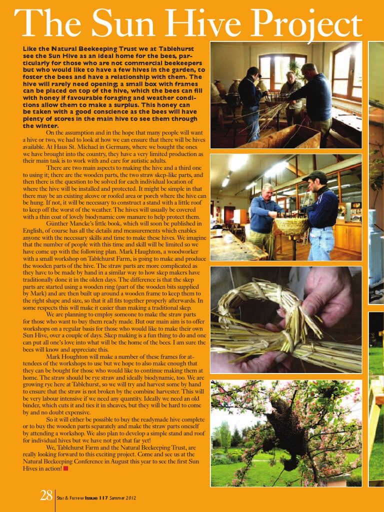 Sun Hive Overview | PDF | Beehive | Beekeeping