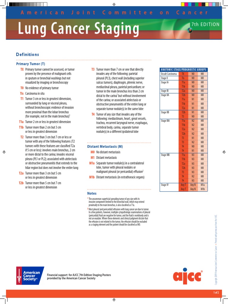 Staging Lung CA | PDF | Metastasis | Respiratory System