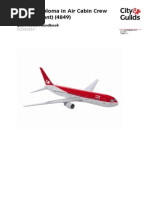 ICAO Launches TRAINAIR PLUS Program | PDF | Airlines | Aviation