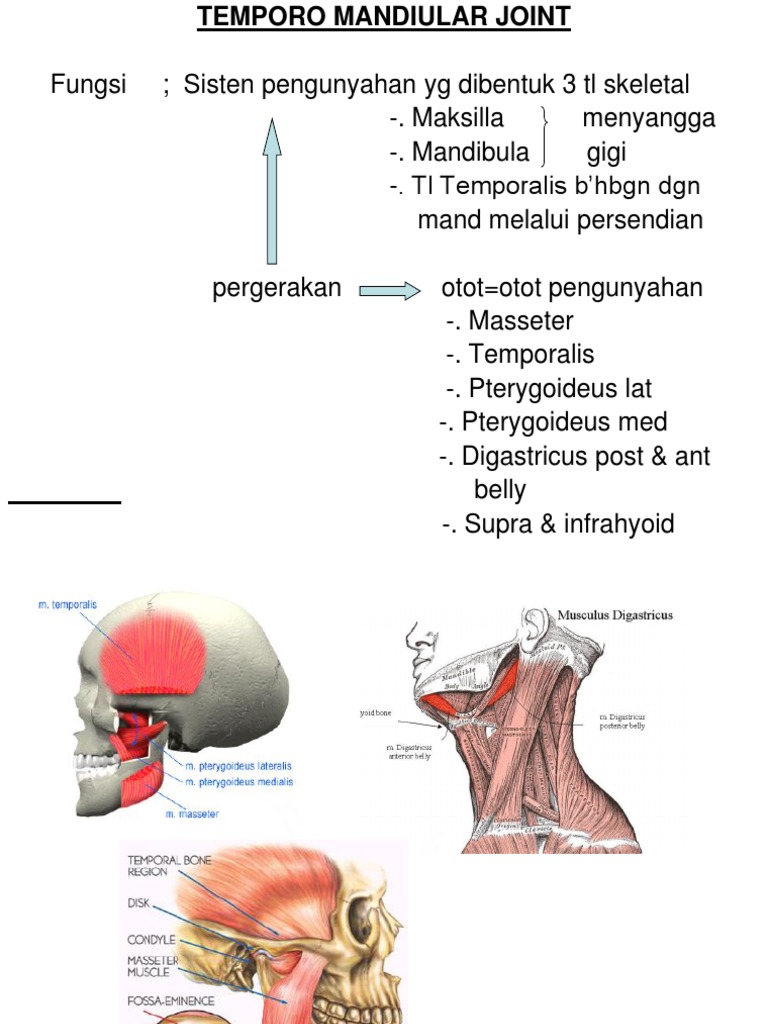 TMJ | PDF | Sains & Matematika