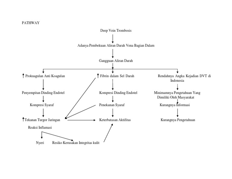 Pathway DVT | PDF