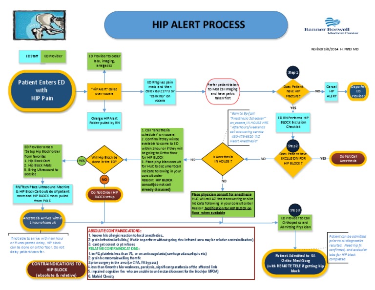 Hip Alert Process | PDF | Anesthesia | Medical Specialties