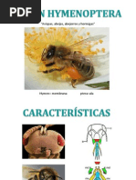 J.L.J.A - Tipos de Pupa | PDF | Crisálida | Mosca