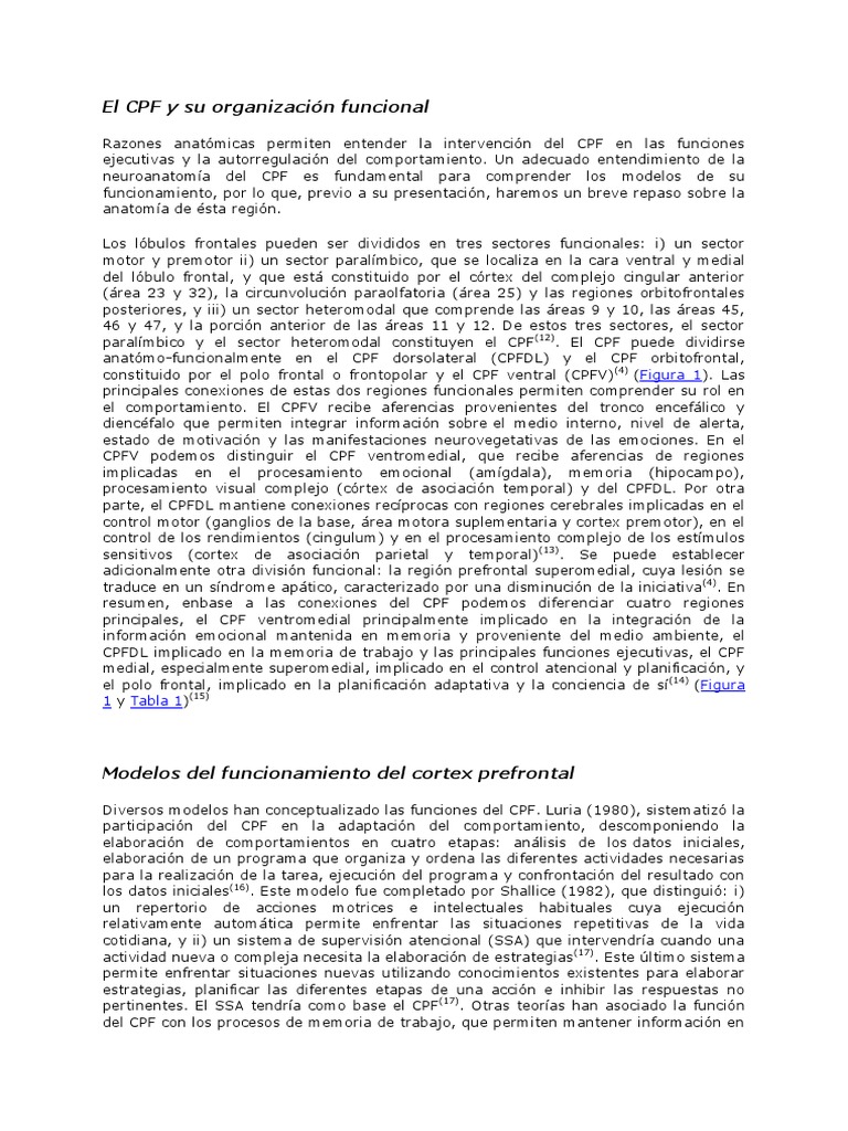 El CPF y Su Organización Funcional | PDF | Funciones ejecutivas ...
