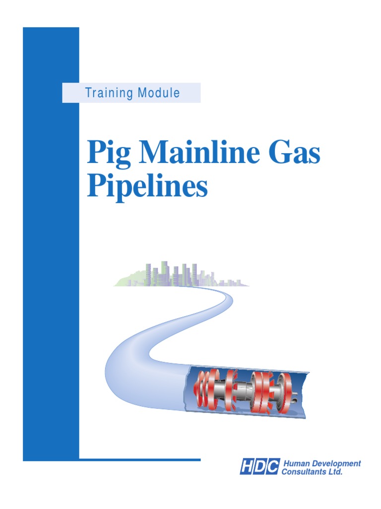 Pig Gas | PDF | Natural Gas | Pipeline Transport