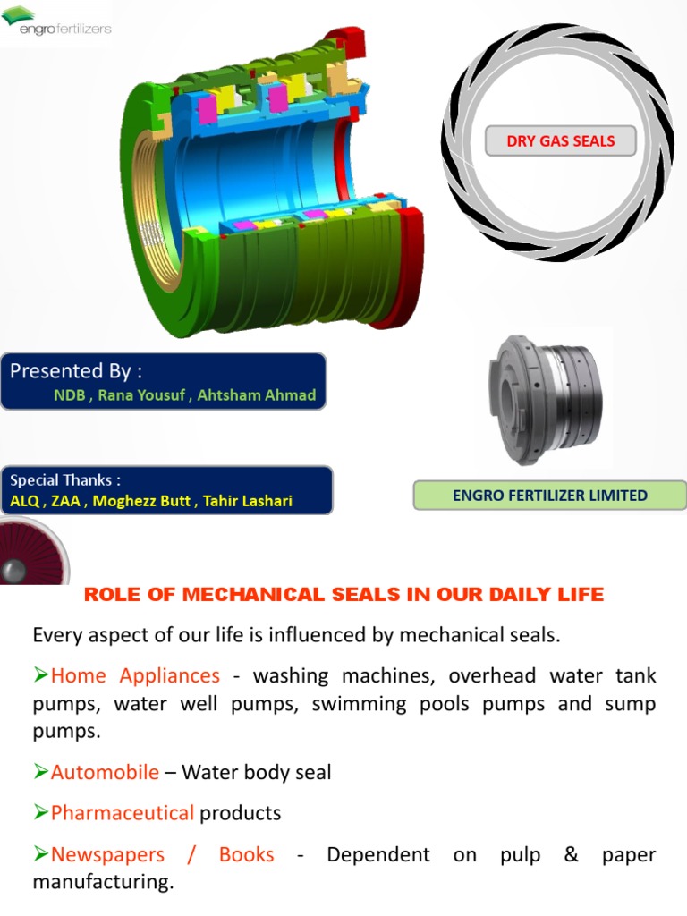 DGS Seal | Gas Compressor | Gases