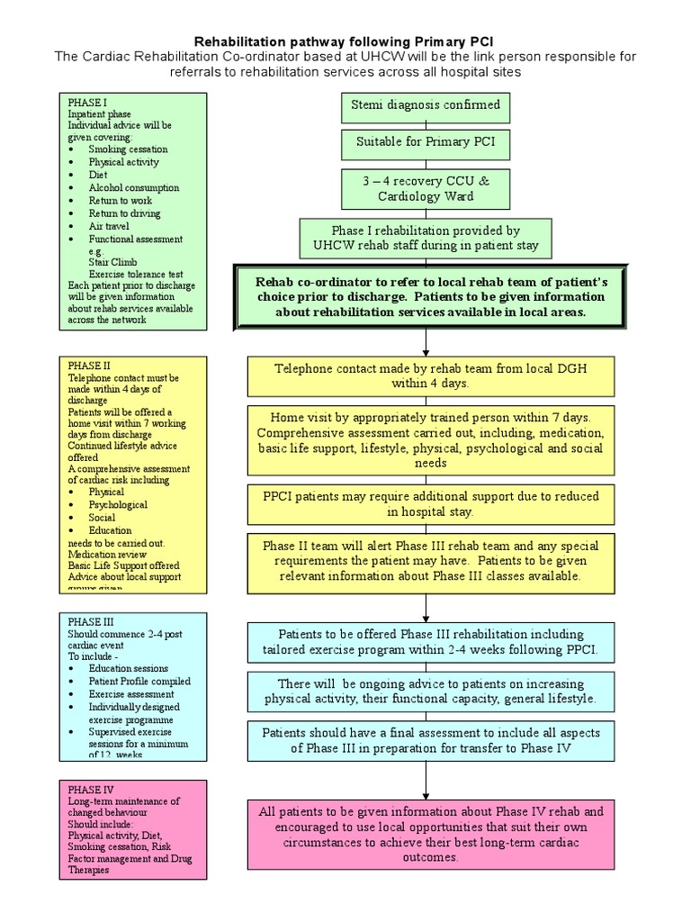 Rehabilitation Pathway Following Primary PCI | PDF | Drug ...