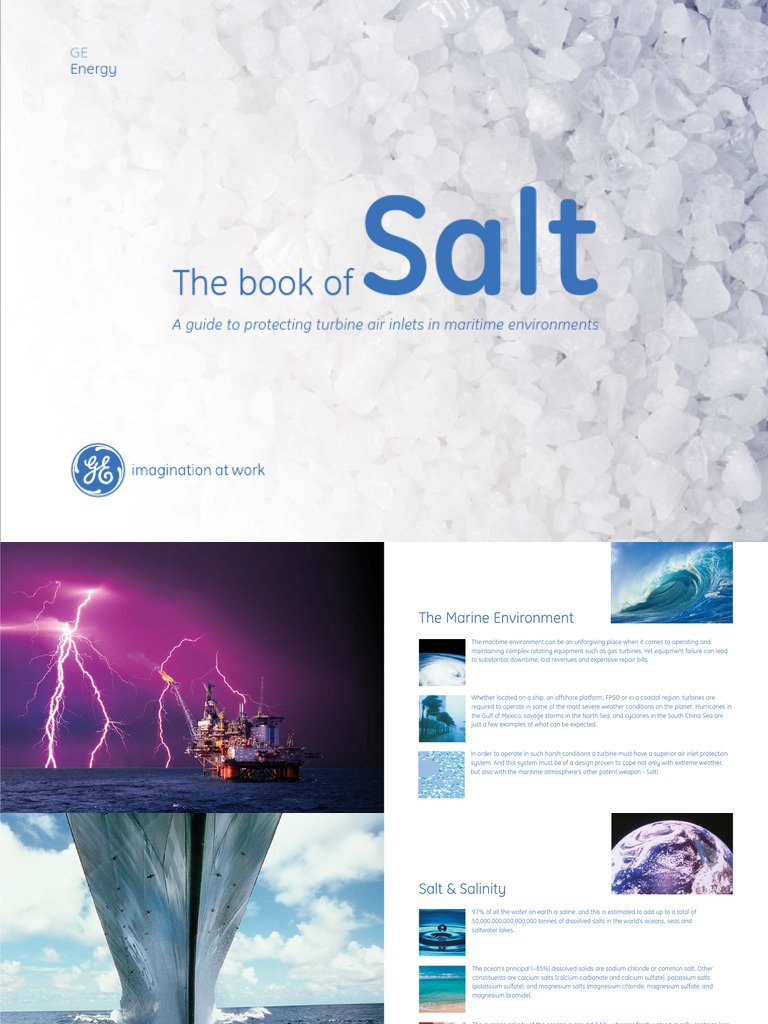 Book of Salt | PDF