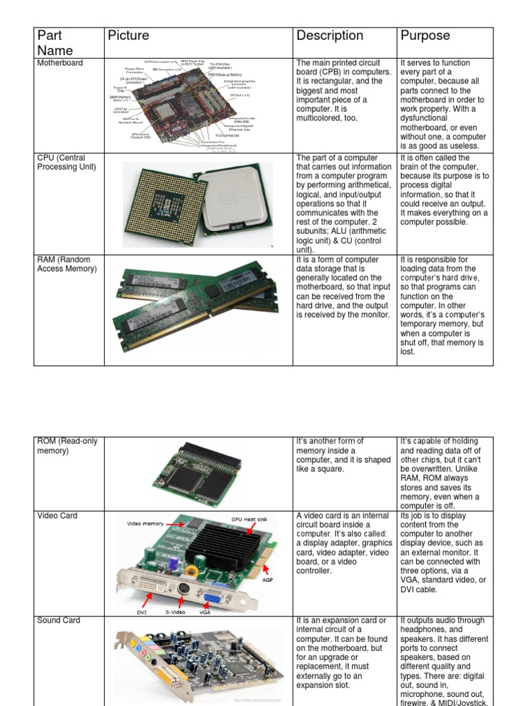 Computer Parts | PDF | Computer Data Storage | Network Interface Controller