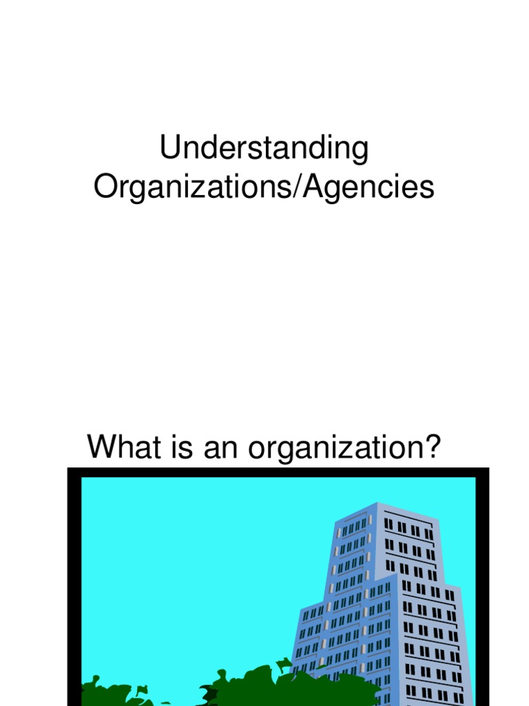 Understanding Organizations | PDF | Social Group | Nonprofit Organization