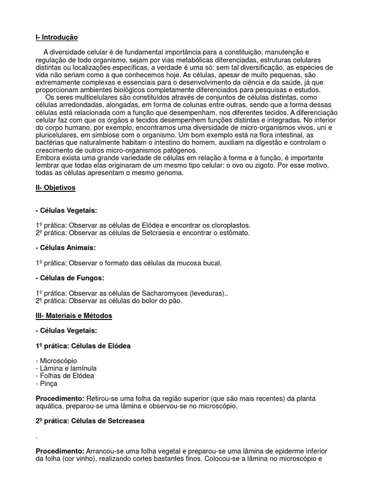 relatorio bio2 | Célula (Biologia) | Organismos