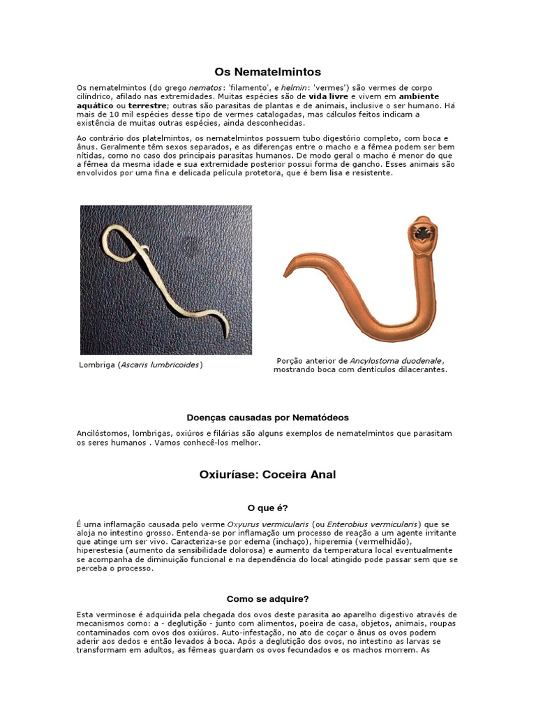 Os Nematelmintos | PDF | Anatomia | Remédio