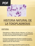 Morfología Vegetal (Estructuras Secretoras) | PDF | Secreción | Biología