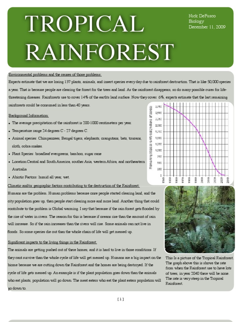 Tropical Rainforest | PDF | Rainforest | Deforestation