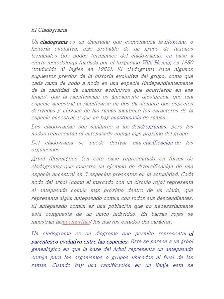 El Cladograma | PDF | Filogenética | Taxonomía (biología)