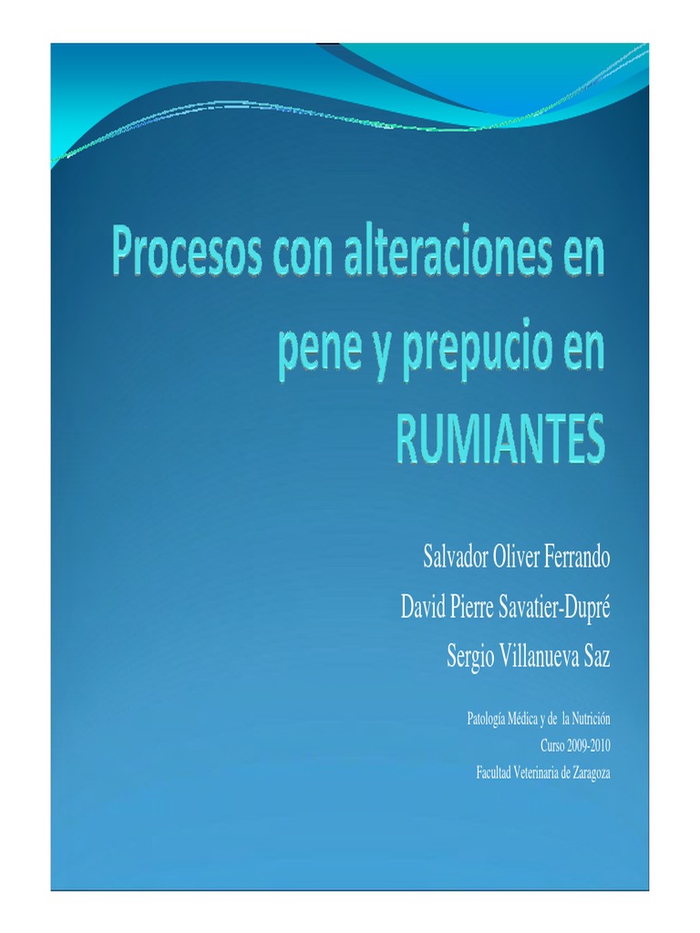 Trastornos del pene y prepucio en animales | PDF | Herida | Urología