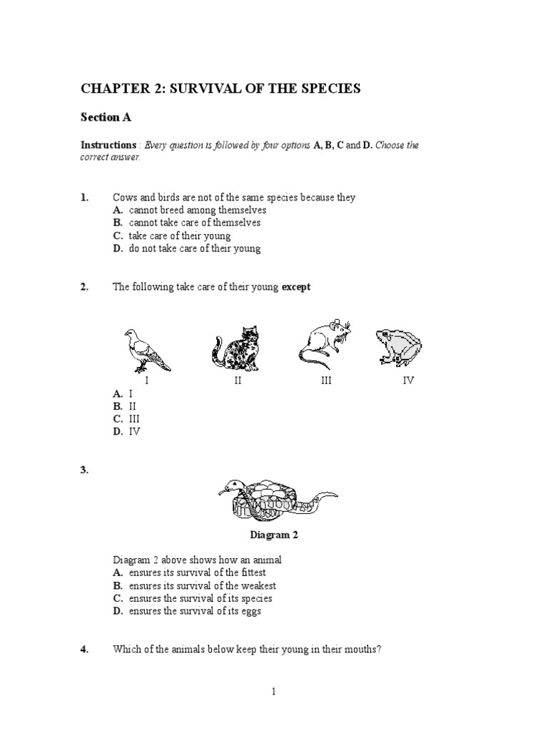 CHAPTER 2 Question | PDF