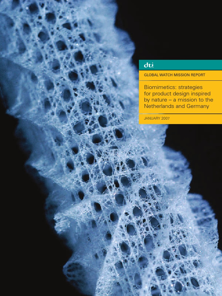 Biomimetics - Strategies For Product Desgin Inspired by Nature - A ...