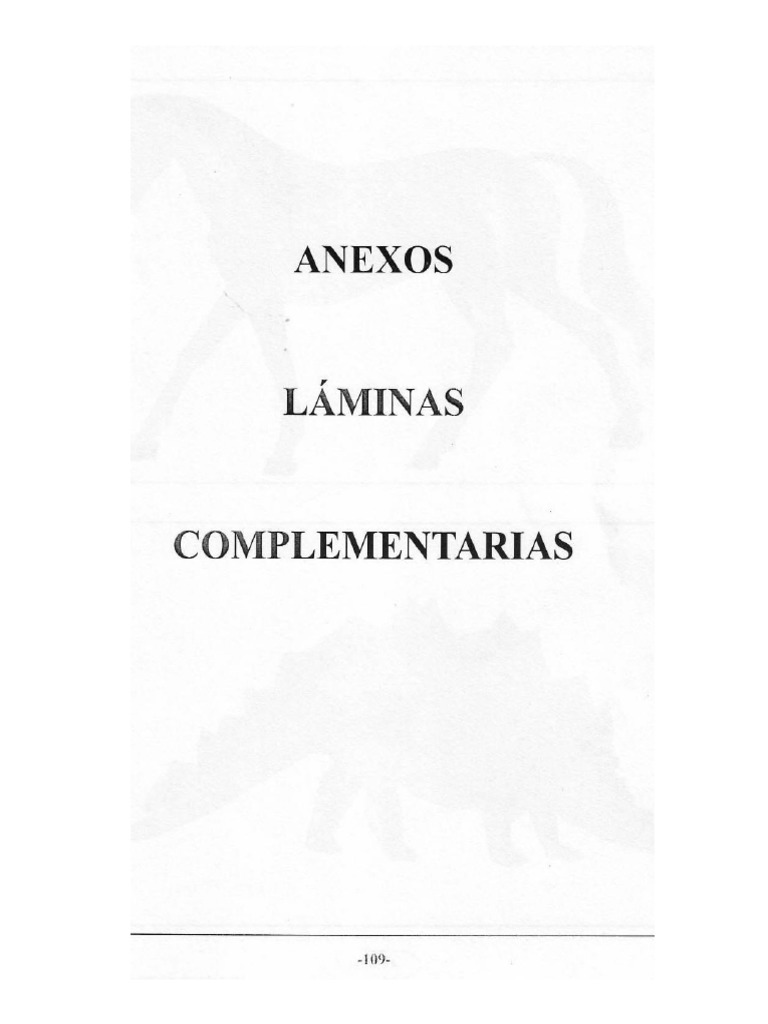 Láminas Complementarias Evalúa 0 | PDF