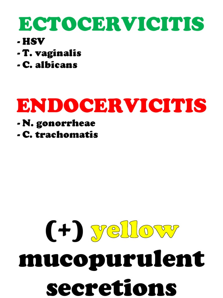 Ectocervicitis and Endocervicitis Overview | PDF