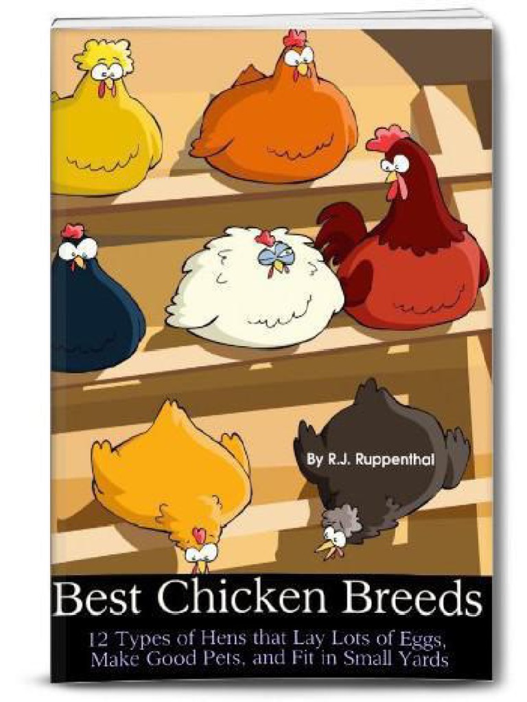 Best Chicken Breeds | PDF | Chicken | Aviculture