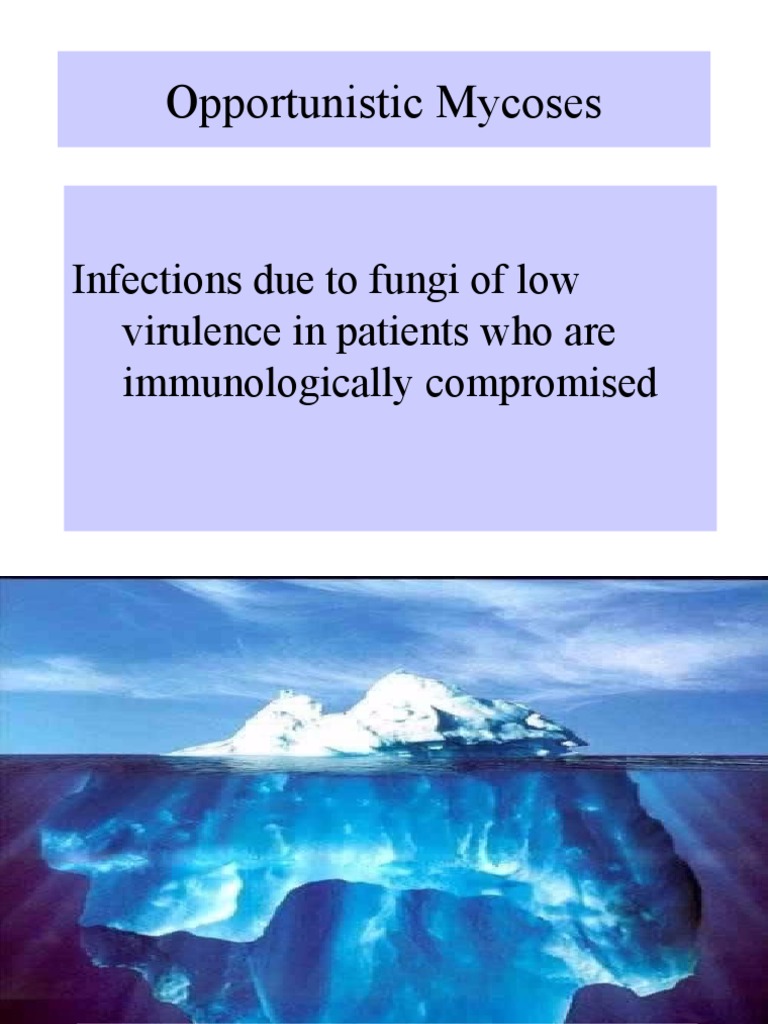 Opportunistic Mycoses in Immunocompromised Patients | PDF | Candida ...