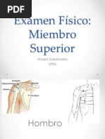 Signo de Mapache | PDF | Lesión | Medicina