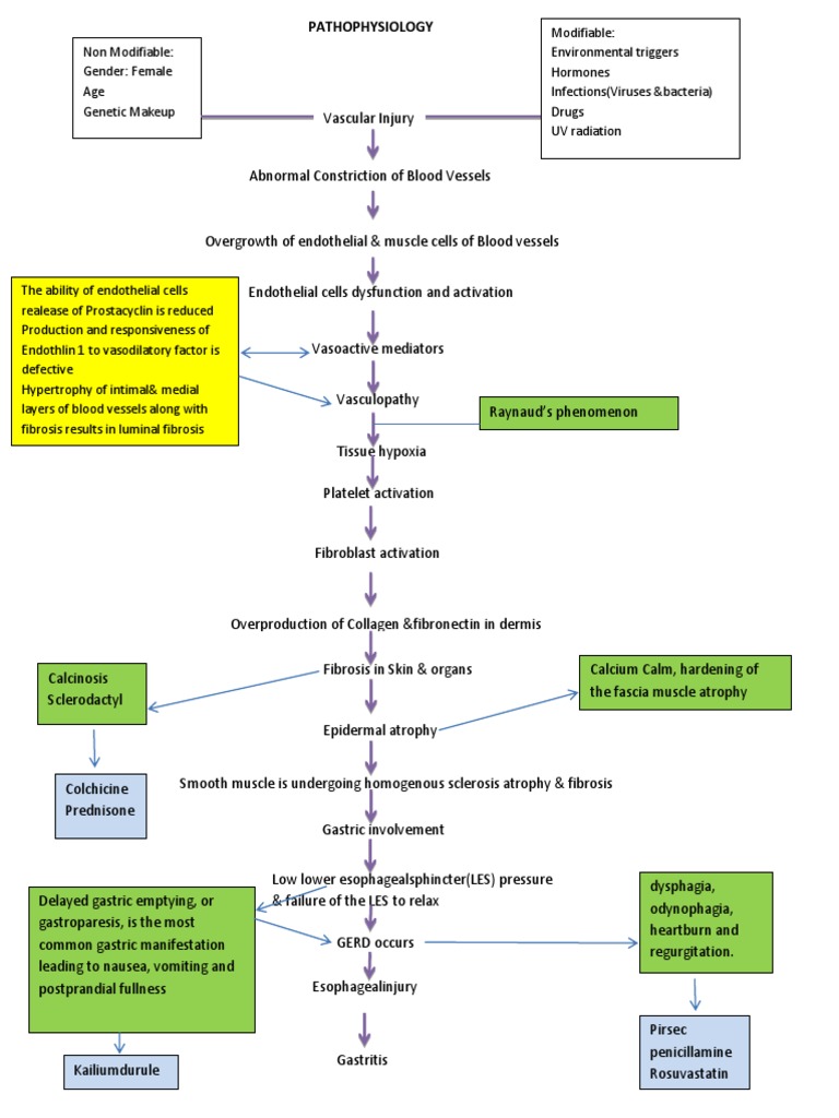 Scleroderma Pathophysiology Overview | PDF | Wellness | Science ...