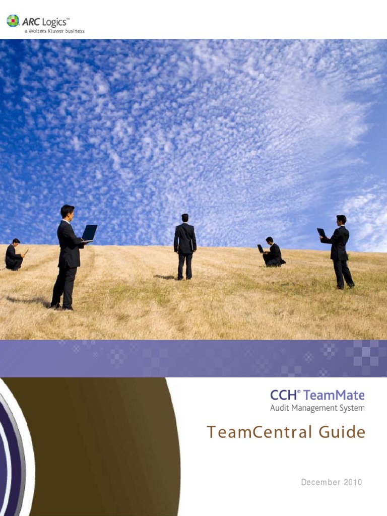 TeamCentral User Guide | PDF | Icon (Computing) | Microsoft Excel