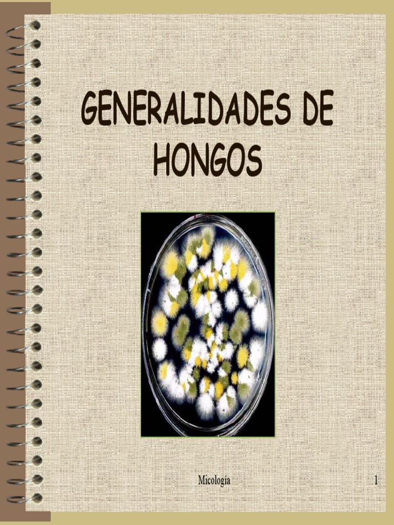 Generalidades de Los Hongos | PDF | Hongo | Sistema inmune