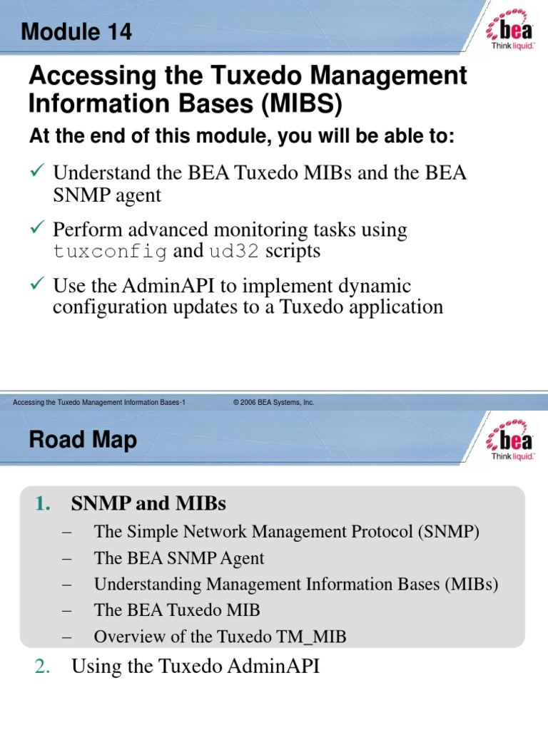 14-MIBS | Command Line Interface | Computer Architecture
