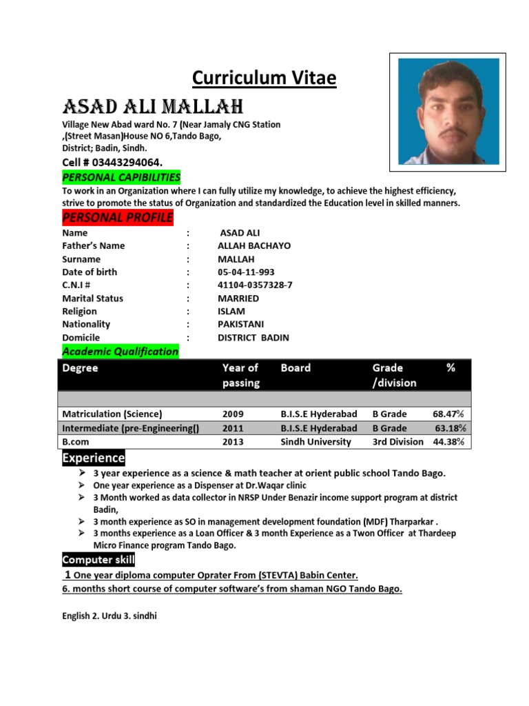 Asad Ali Mallah's CV | PDF