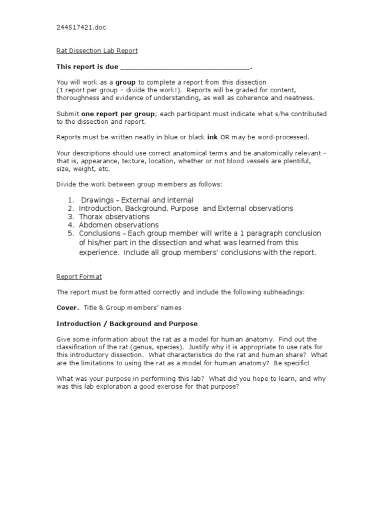 Rat Lab Report | PDF | Anatomy | Human Anatomy