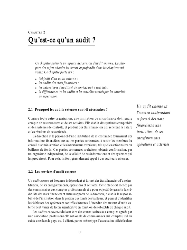 L'audit Externe PDF | PDF