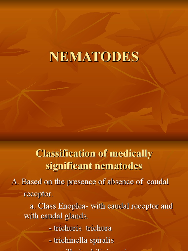 Classification of Medically Significant Nematodes | PDF | Parasitology ...