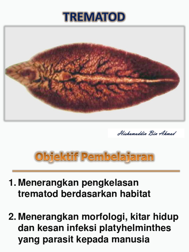 Trematod | PDF